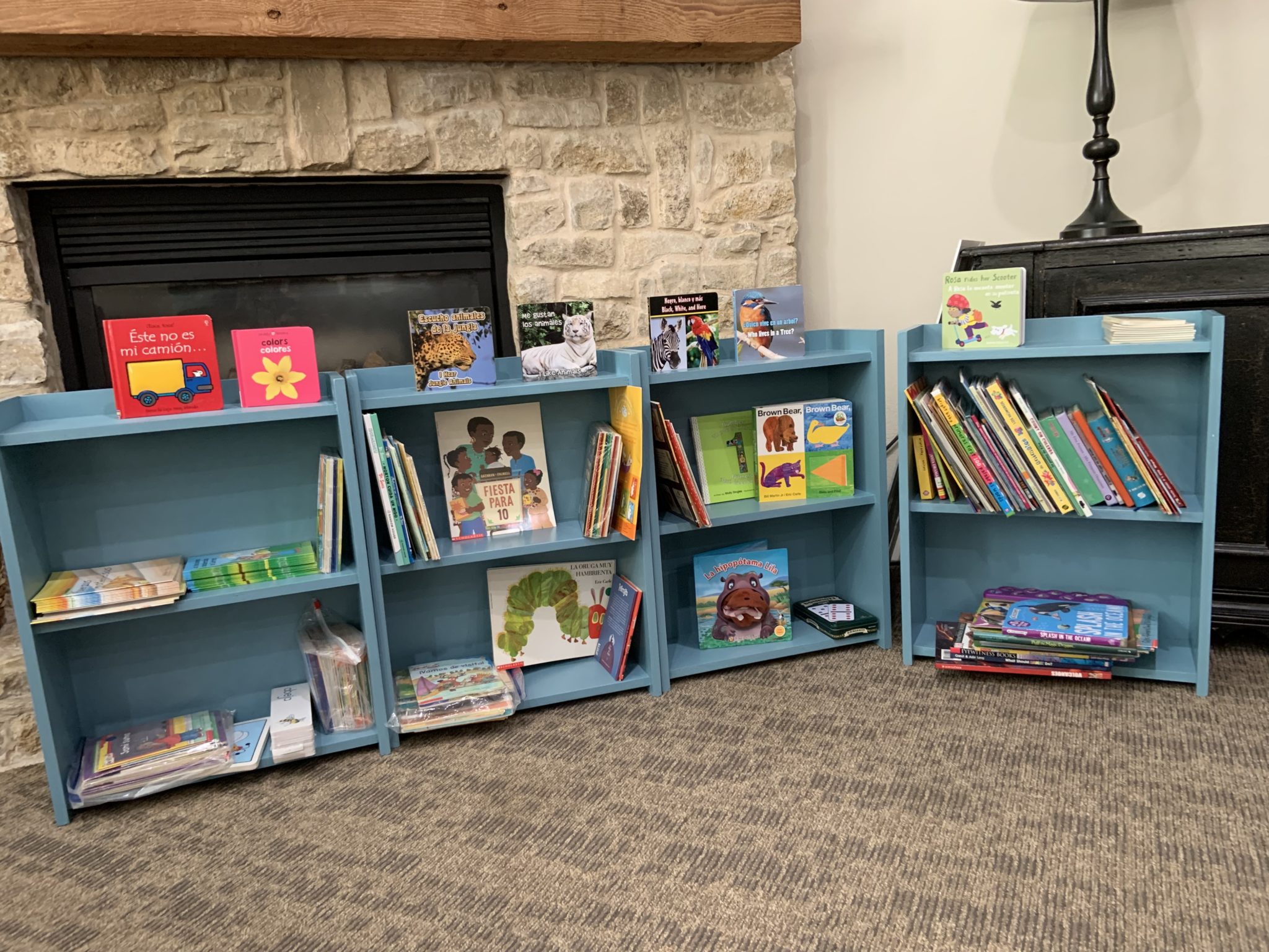 Books “Fly Like an Eagle” thanks to a local Eagle Service Project ...